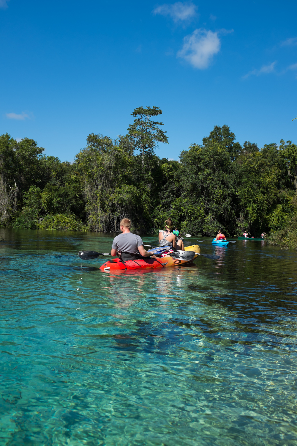 Weeki Wachee Springs Kayaking Adventure - Laura Foote | Tampa, Florida ...